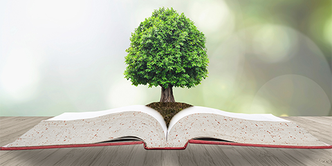 Comprehensive Update to the State CEQA Guidelines