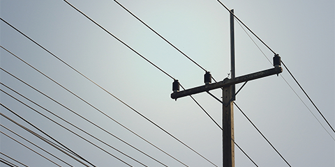 City’s Electric Utility Fund Transfer to General Fund Upheld by Court